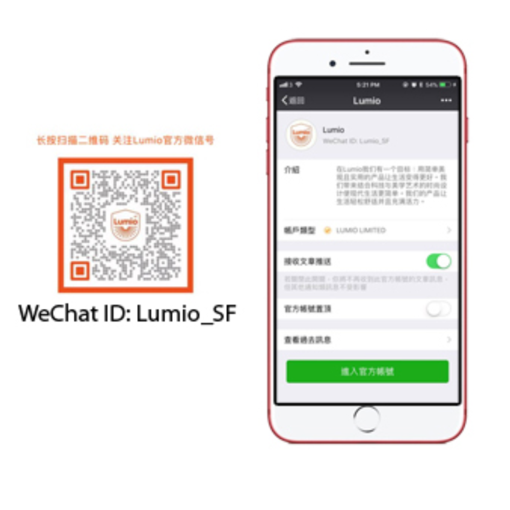 Portfolio – Lumio – WeChat E-Shop & Market Entry - Matrix