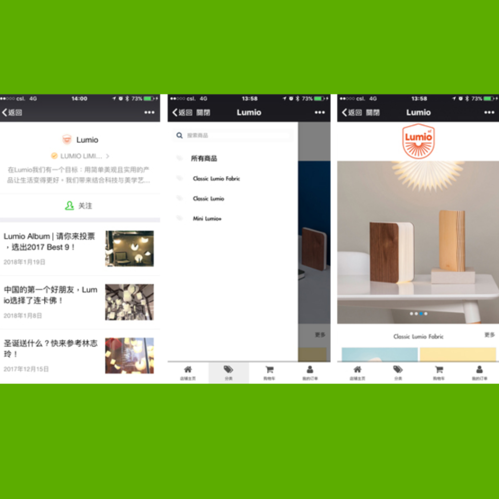 Portfolio – Lumio – WeChat E-Shop & Market Entry - Matrix