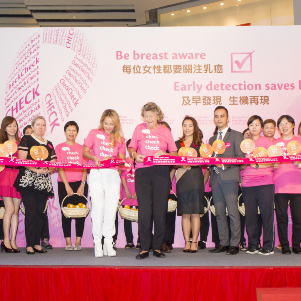 Portfolio – Cancer Fund – Pink Revolution - Matrix